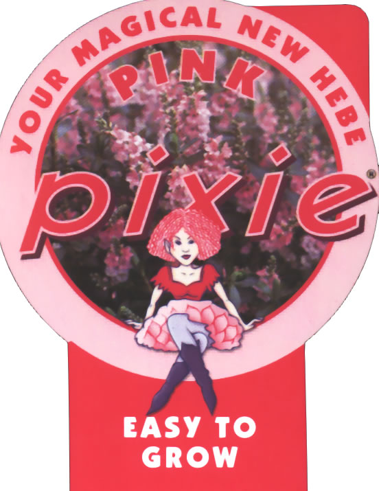 About us - The Bransford Webbs Plant Company